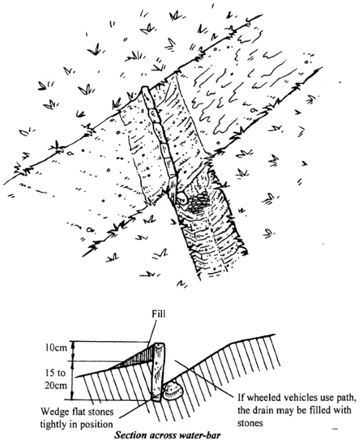Water Drainage Elements - The Sovereign Homestead