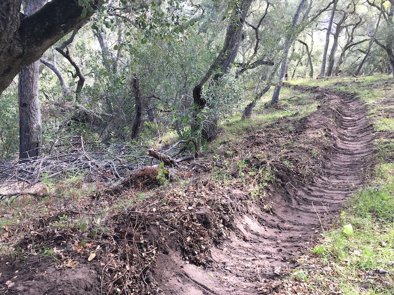 Rivera Family Ranch – Spring Development - The Sovereign Homestead