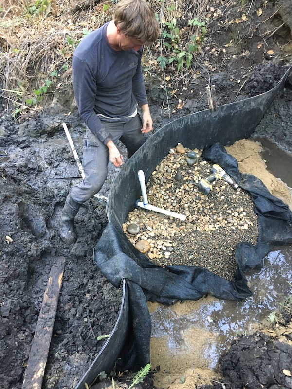 Rivera Family Ranch – Spring Development - The Sovereign Homestead